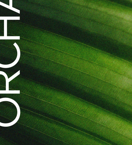 Orchard Investment Management