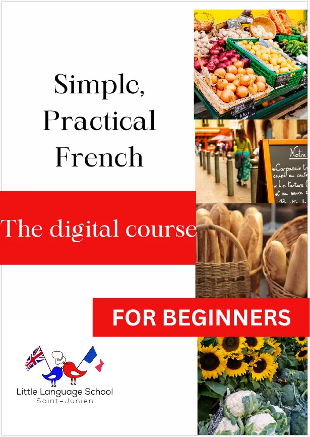 Home [littlelanguageschoolsj.com]