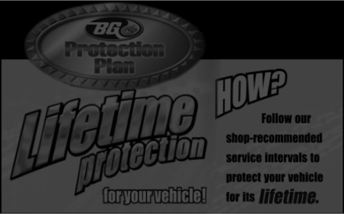 BG PROTECTION