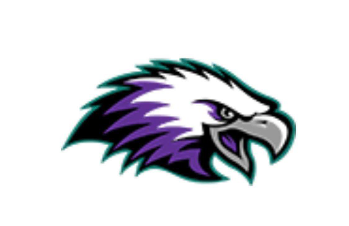 Liberty Ridge Elementary School PTO Fundraiser