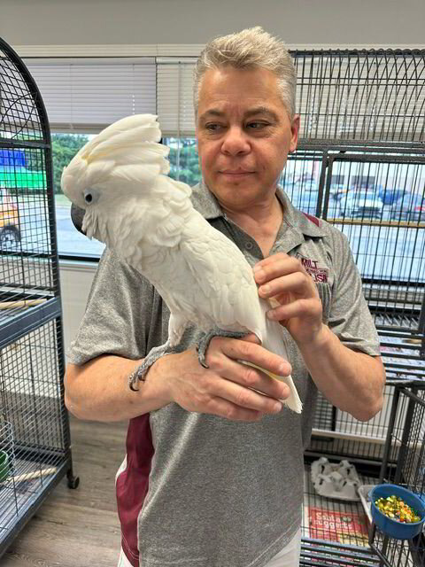 Contact Milt's One Stop Parrot Shop | Parrot Inquiries & Bird Care Support