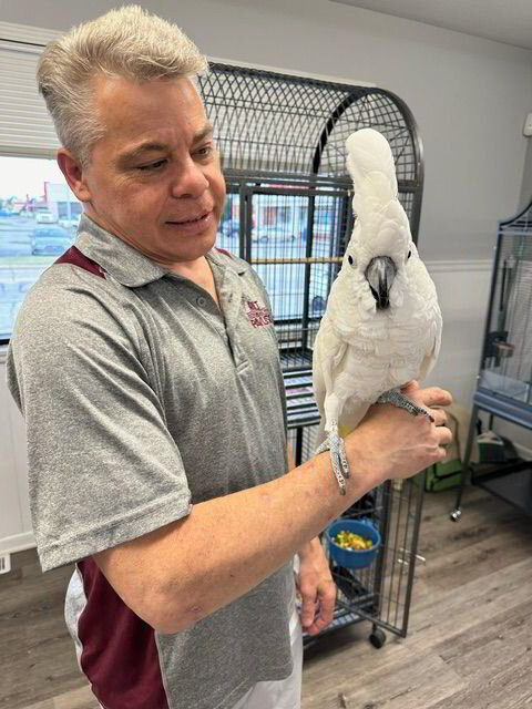 About Milt's One Stop Parrot Shop | Parrot Experts & Bird Care Supplies