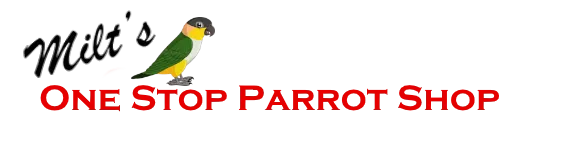 Milt's One Stop Parrot Shop | Parrots, Cages & Bird Food for Sale