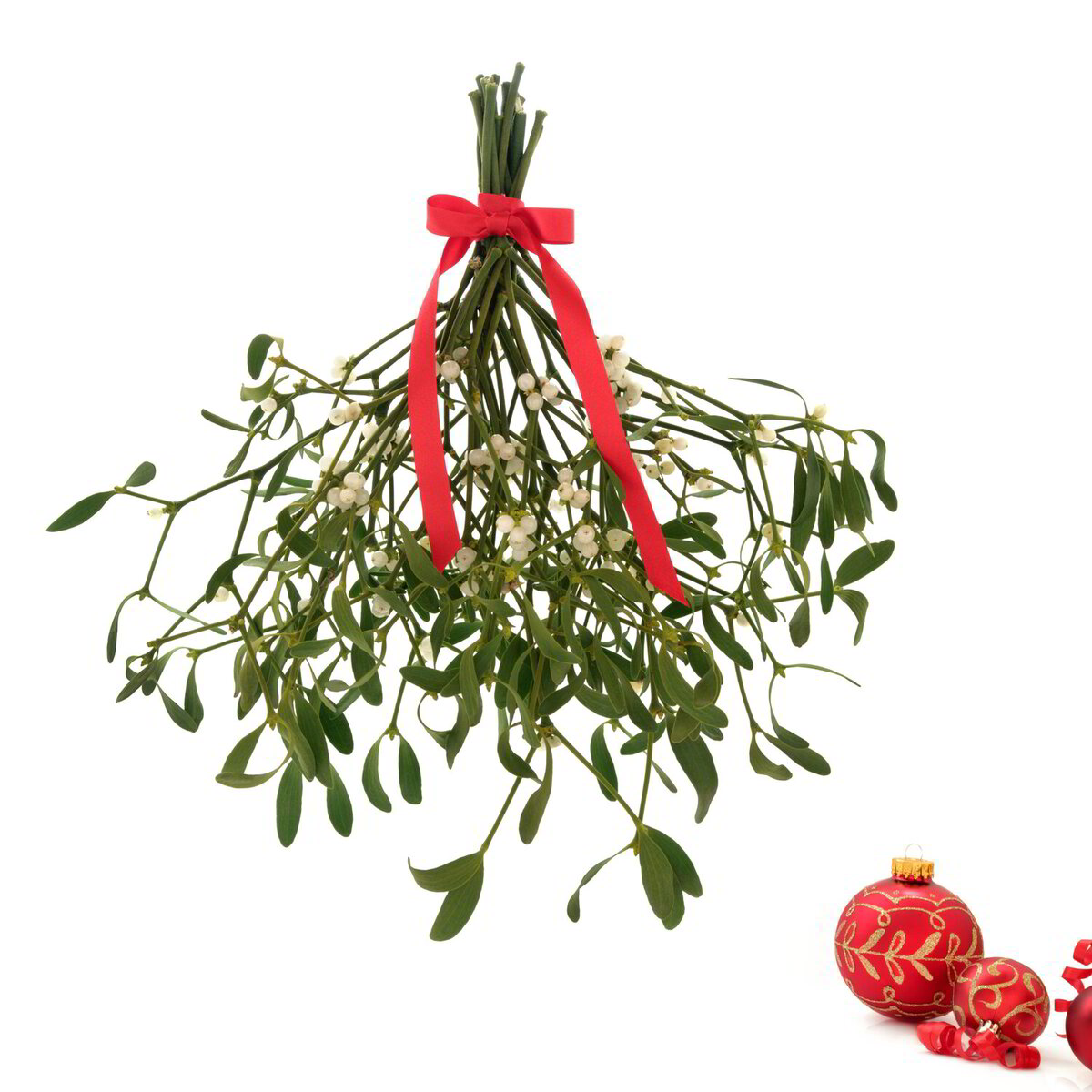 Mistletoe and Cancer Care - It does more than spark a kiss!