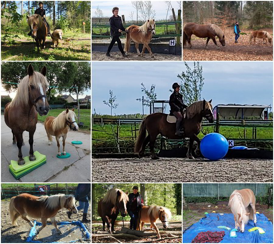 Waarom afwisseling in je training?