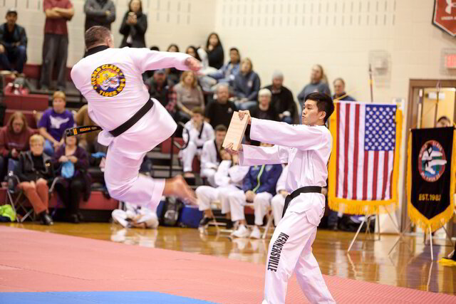 Martial Arts in the Triad and Charlotte Areas - Tiger Kim’s Tae Kwon Do