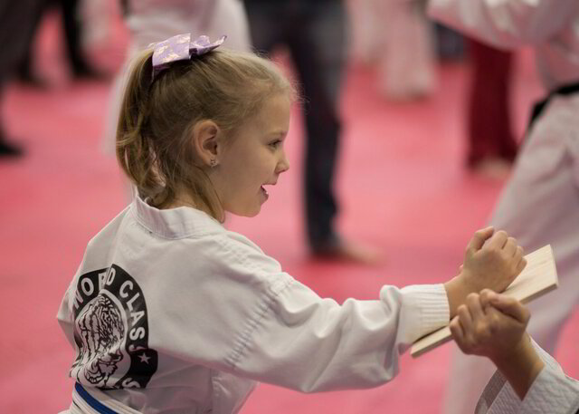 Martial Arts in the Triad and Charlotte Areas - Tiger Kim’s Tae Kwon Do