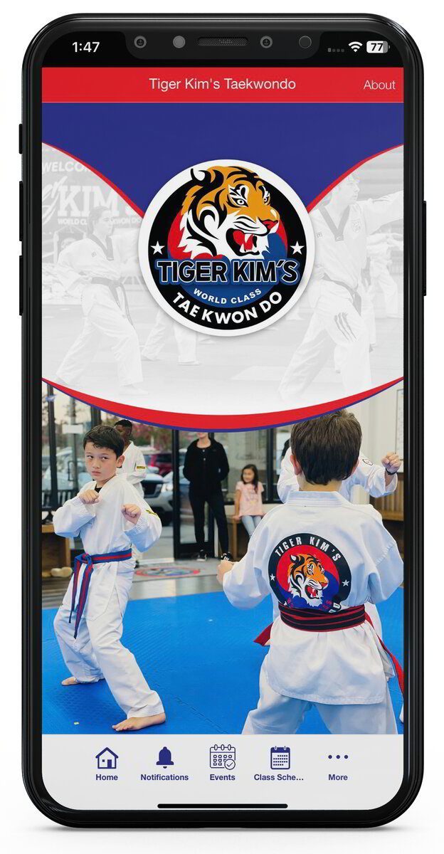 Martial Arts in the Triad and Charlotte Areas - Tiger Kim’s Tae Kwon Do