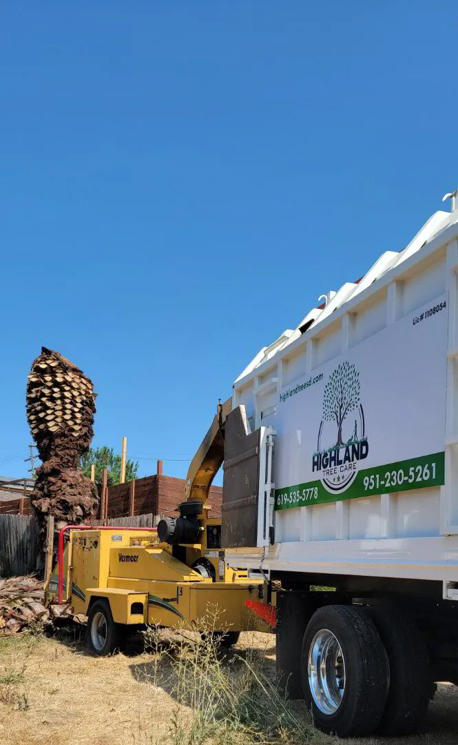 Highland Tree Care | San Diego County