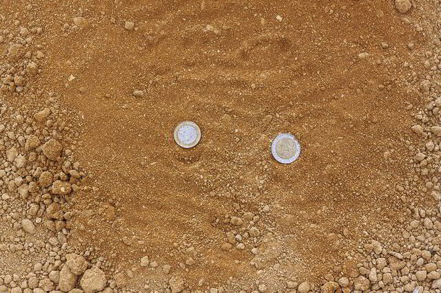 Cuidado y mantenimiento de jardín profesional