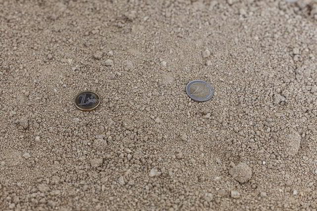 Cuidado y mantenimiento de jardín profesional