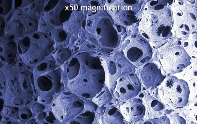 PVA Foam Technical Specifications