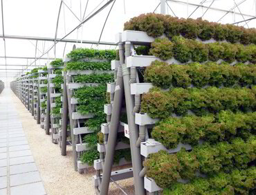 Solico Tanks Key Benefits