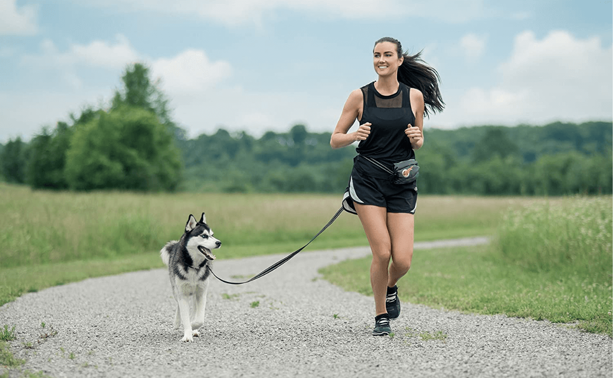 8 Things Your Dog Wants You To Know About Exercise