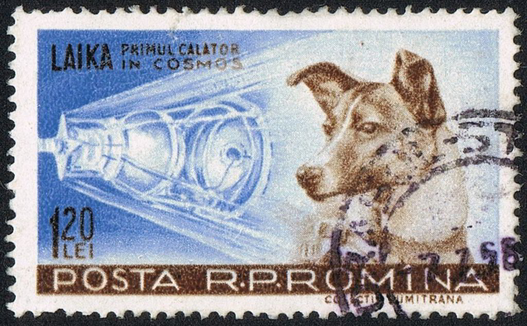 Laika – The Soviet Space Dog