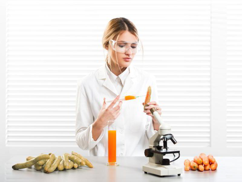 The Truth About Artificial and Natural Flavors