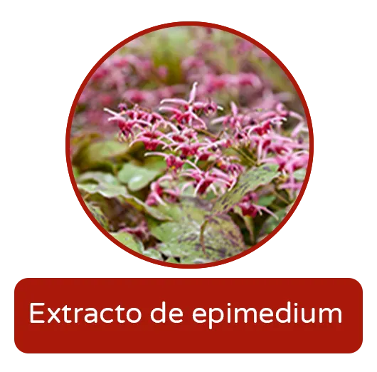 EroXcel - Texto Presentación