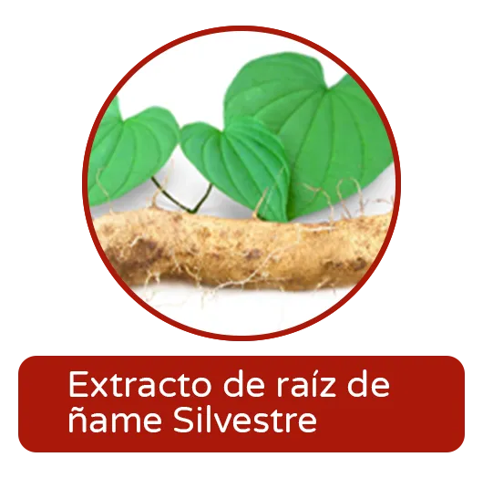 Vigorize Men: Aumenta tu Energía y Vitalidad