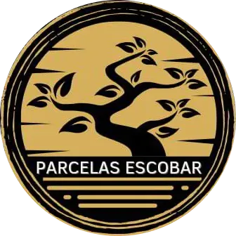 Parcelas en Venta con Rol Propio de 5.000 m² | Excelentes Ubicaciones