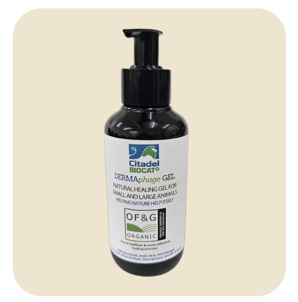 Equi-Phage | Natural Equine Wound Treatment & Horse Skin Care Gel