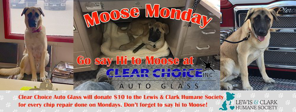 105.3 KMTX Adult Contemporary Radio | Helena, MT