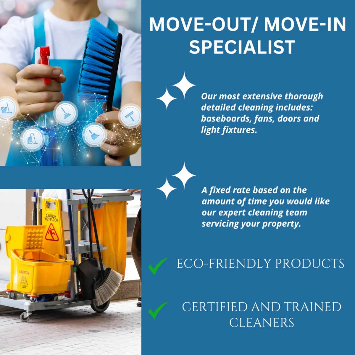 Next Level Pro Cleaning