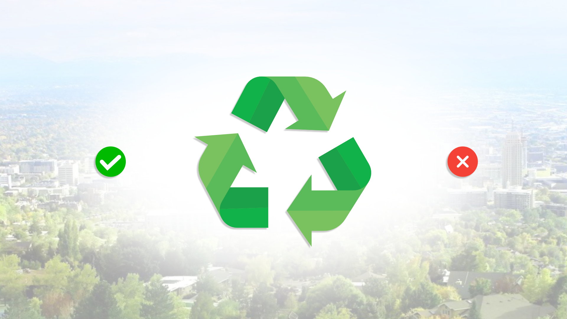 How to Recycle Properly and Best Practices for Waste Management