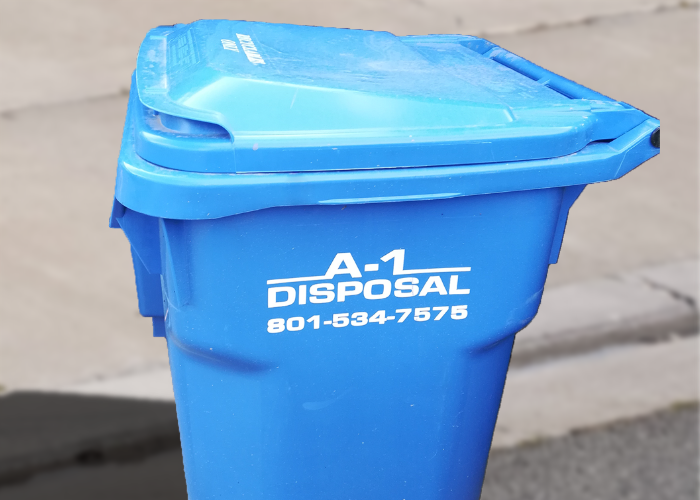 Why Routine Scheduled Dumping is Essential for Efficient Dumpster ...