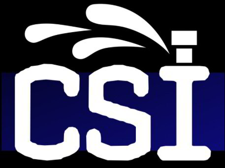 (CSI) Sprinkler Repair, Backflow Testing, Drainage, and Landscapes.