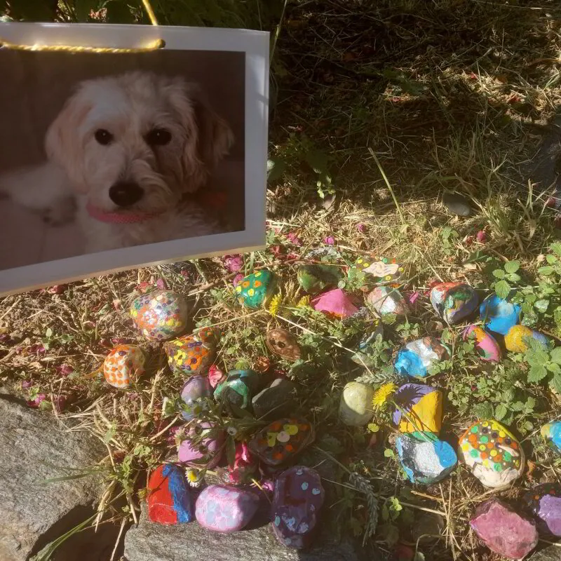 Abschied von unserem Schulhund Lilly