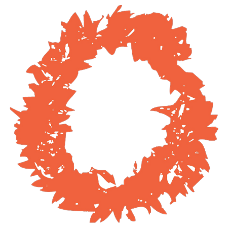 About | VOU - "The Pacific's most globally toured performing arts company"