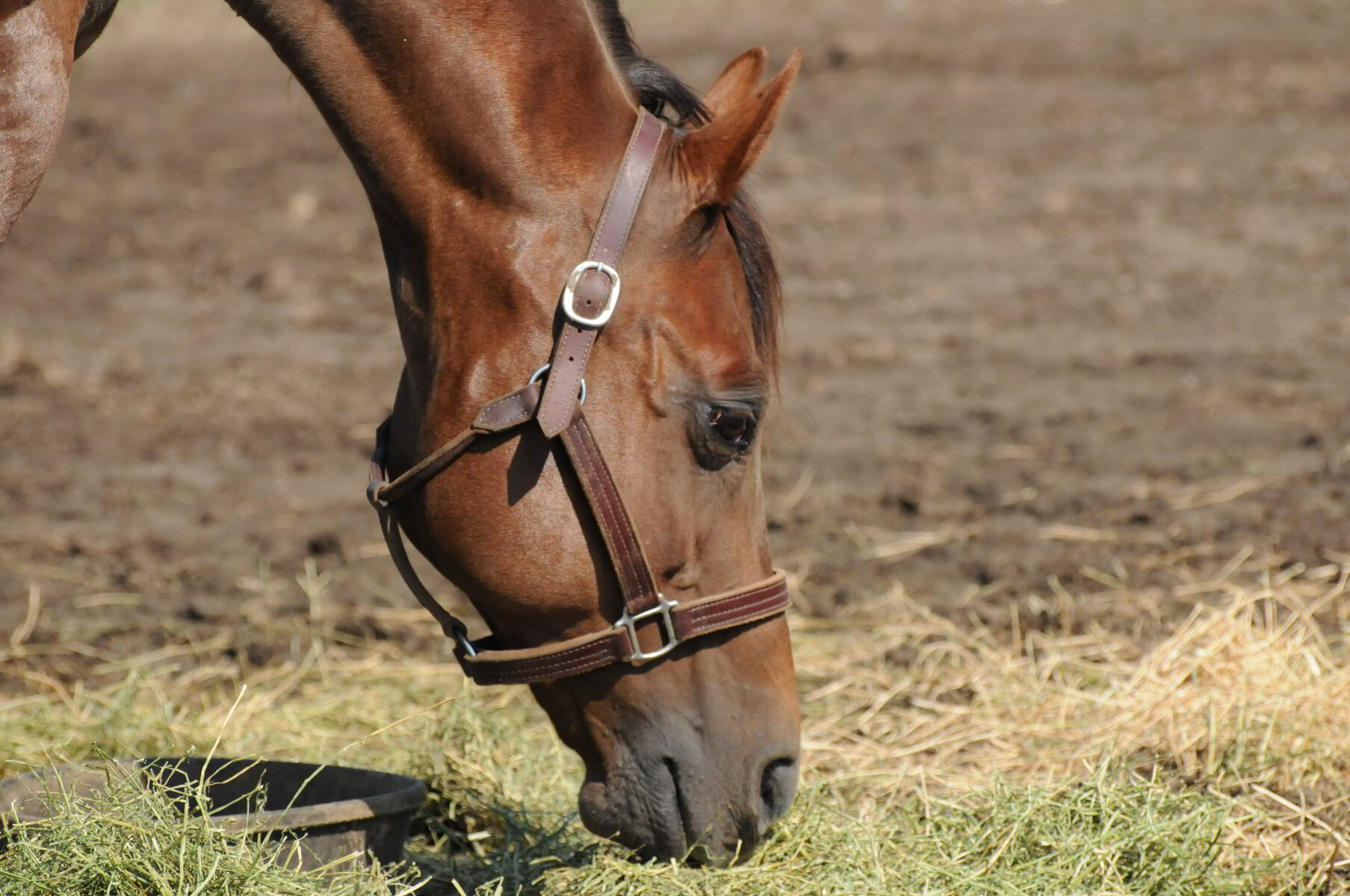 Zeho Leather Works: USA Made Quality Leather Products