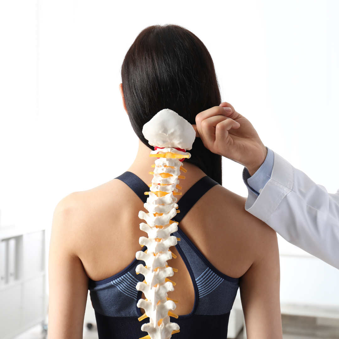 Chiropractic Exam| LiveFree Health | Dr. Tyler Reed | Delafield WI