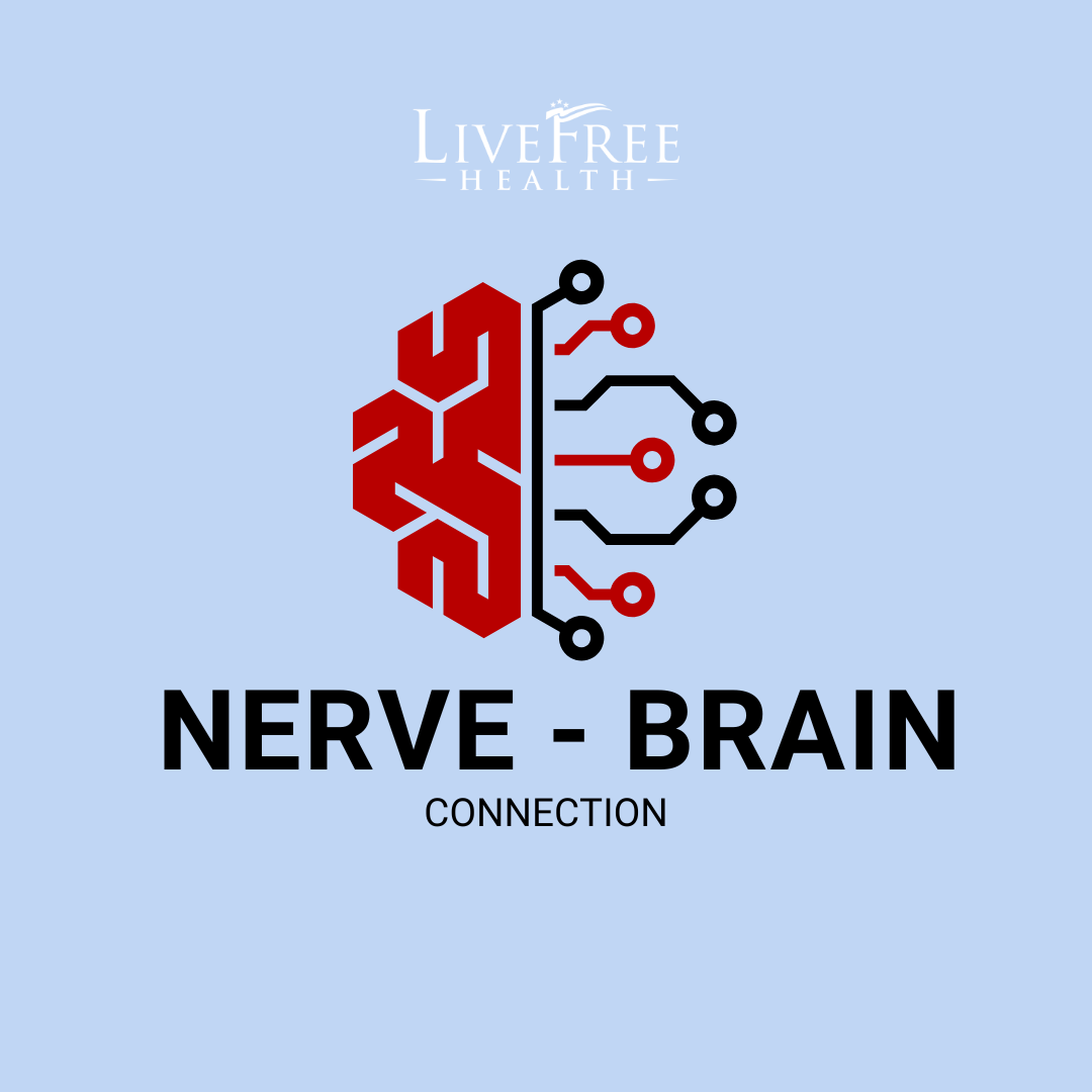 The Nerve–Brain Connection: How Neuropathy Affects More Than Just Your Feet
