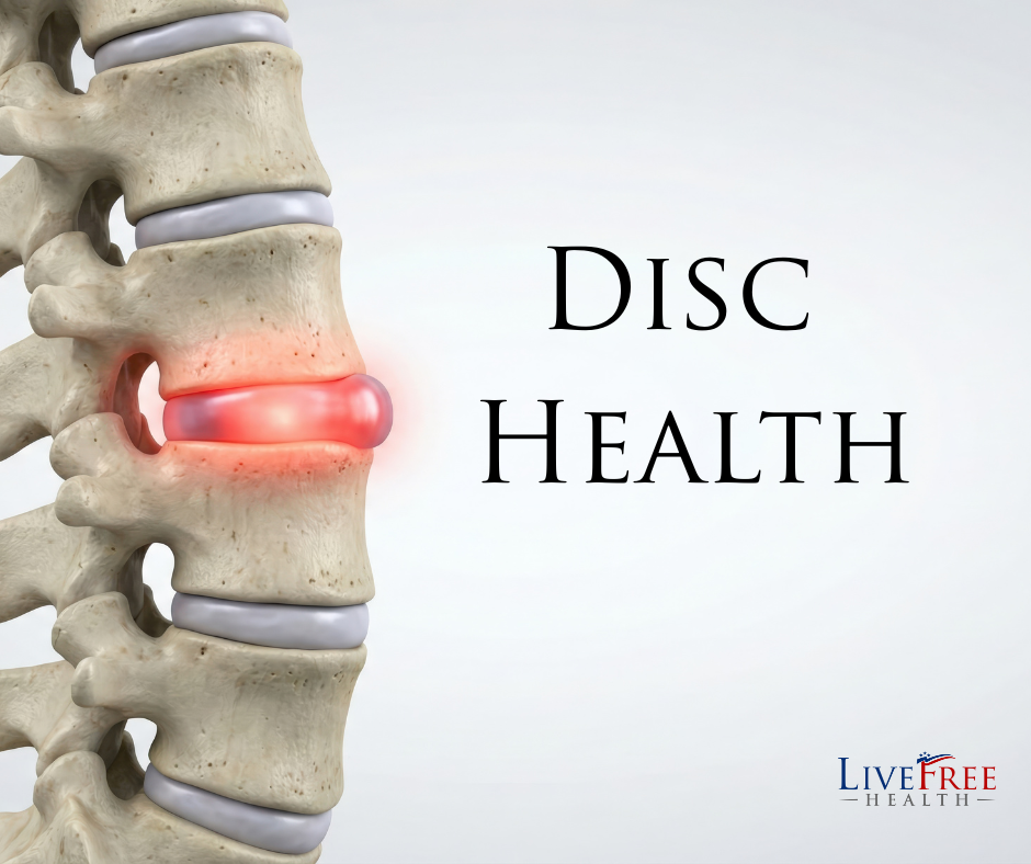 Understanding Disc Health: Why Pressure, Hydration, and Movement Matter