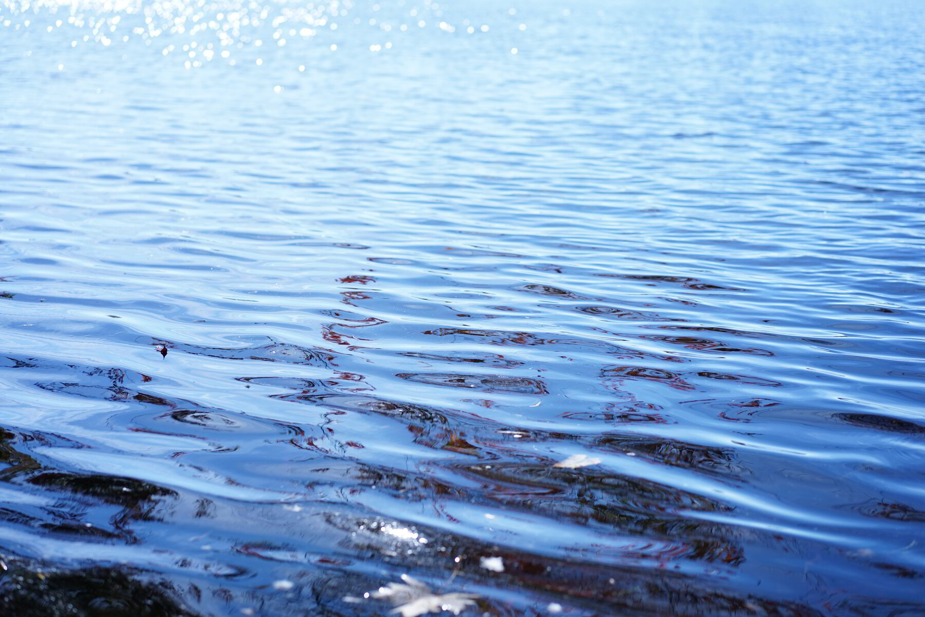 Raquette River Petition