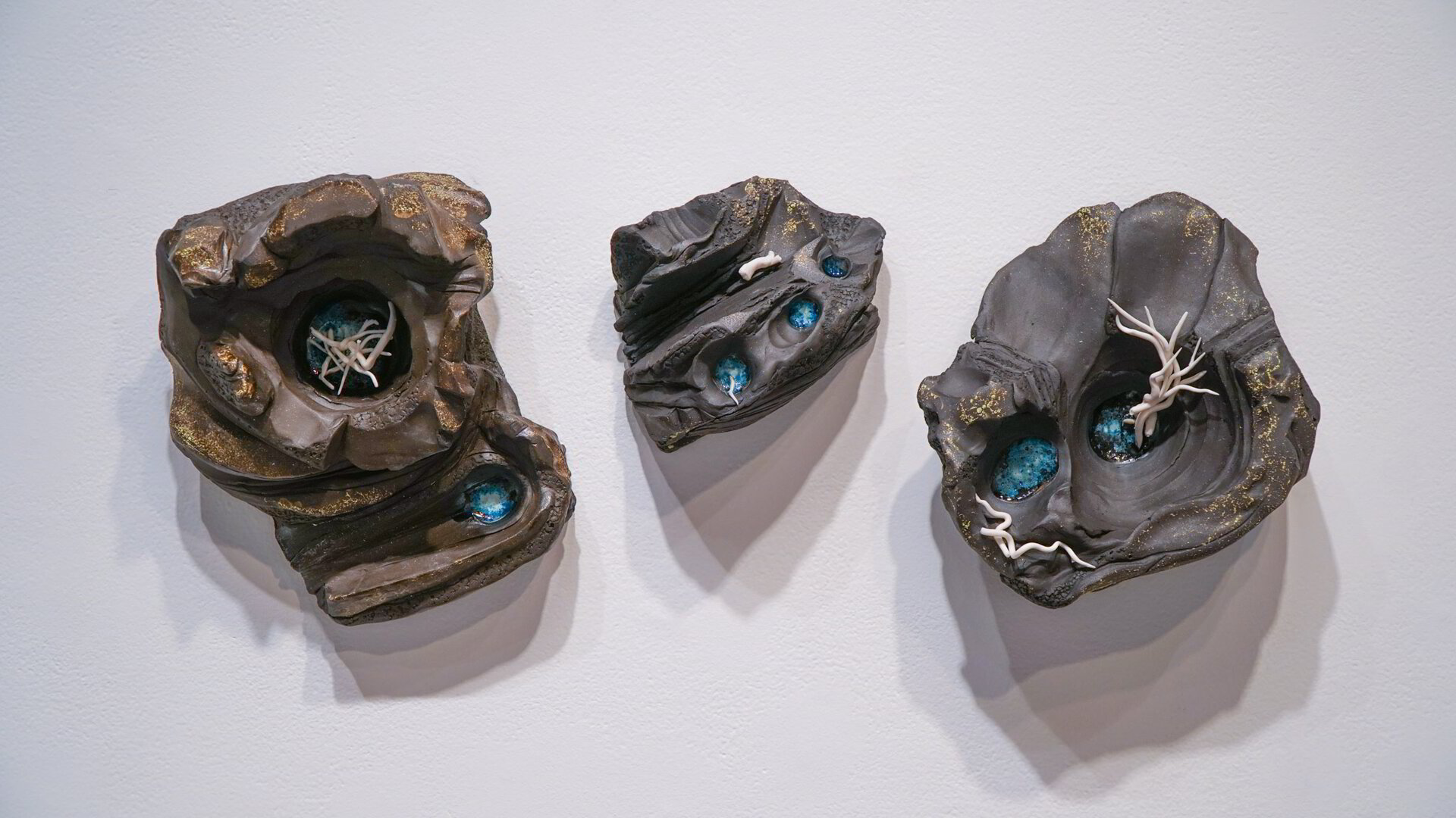 Ripple Fossils & Landmarks, No. 5