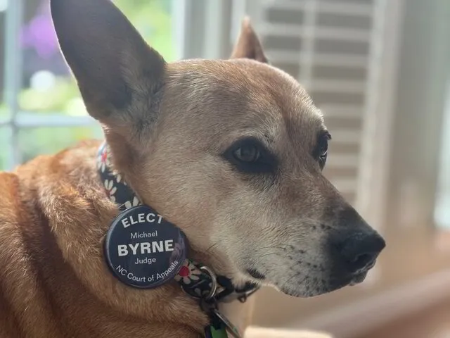 Meet Michael Byrne