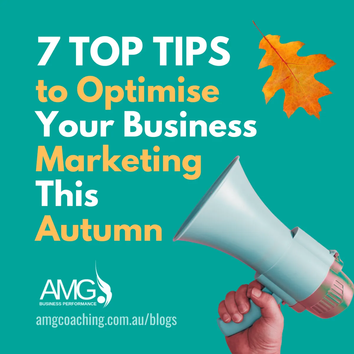 7 Top Tips to Optimise Your Business Marketing This Autumn
