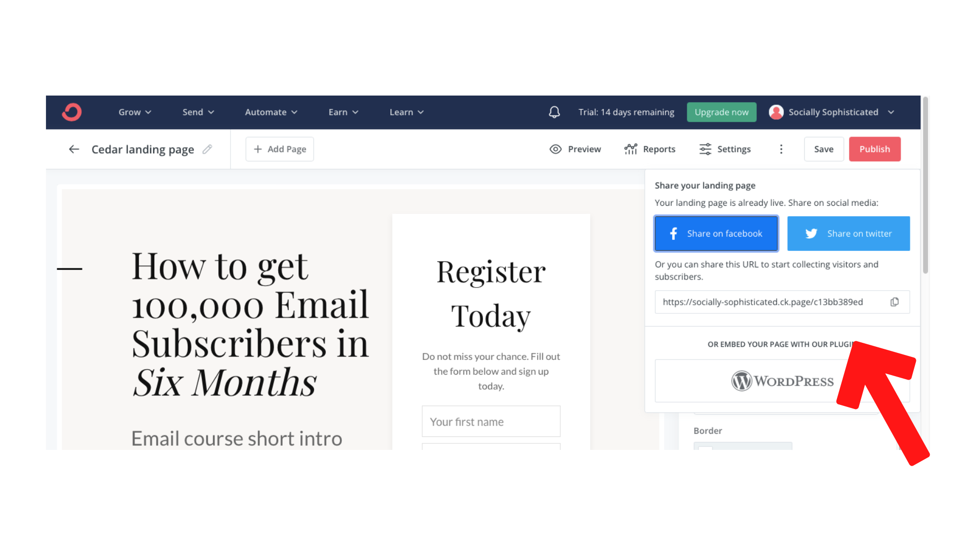 Step-by-Step Guide to Building a High-Converting Landing Page with ...