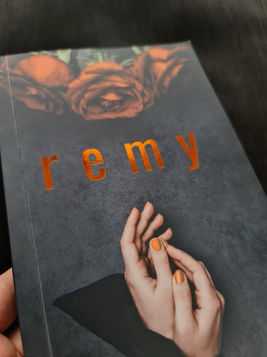 ⭐️SPECIAL EDITION⭐️ Signed Print Copy of Remy (Hunting Her #10)