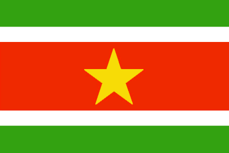 Suriname Desk Flag