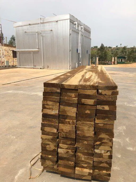 Sustainable Forestry in East Africa | New Forests Company