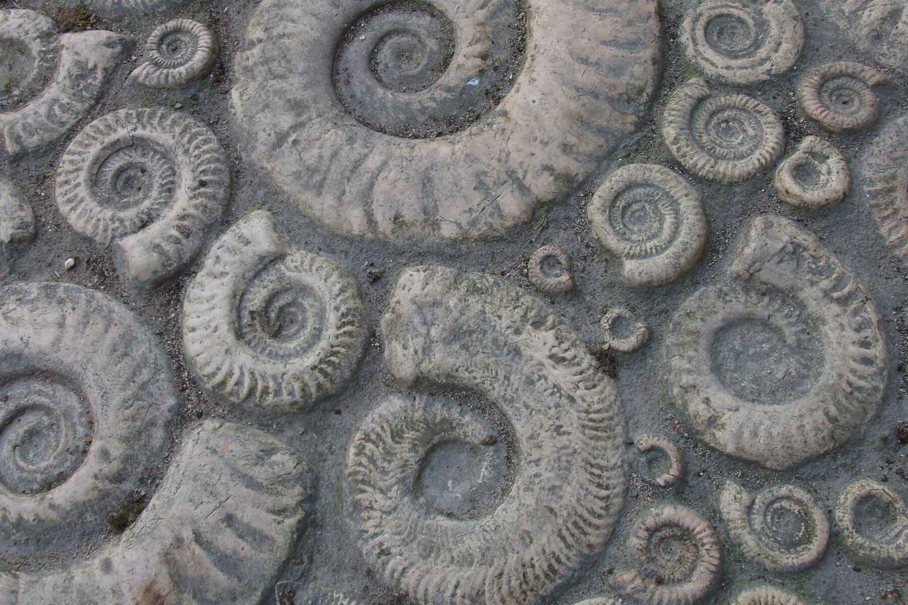 Quick Guide to Oil Shale | An Underground Miner