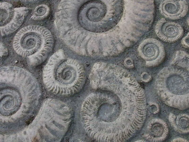 Quick Guide to Oil Shale | An Underground Miner