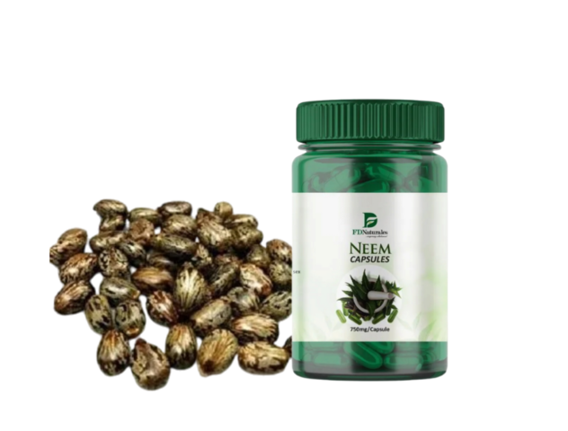 Castor seed+Neem Contraceptive