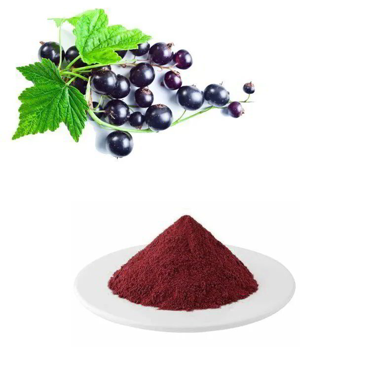 Black Currant Powder