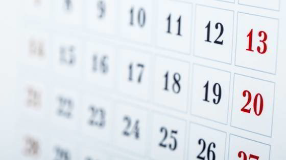 Launching Your Political Campaign | Ultimate Guide