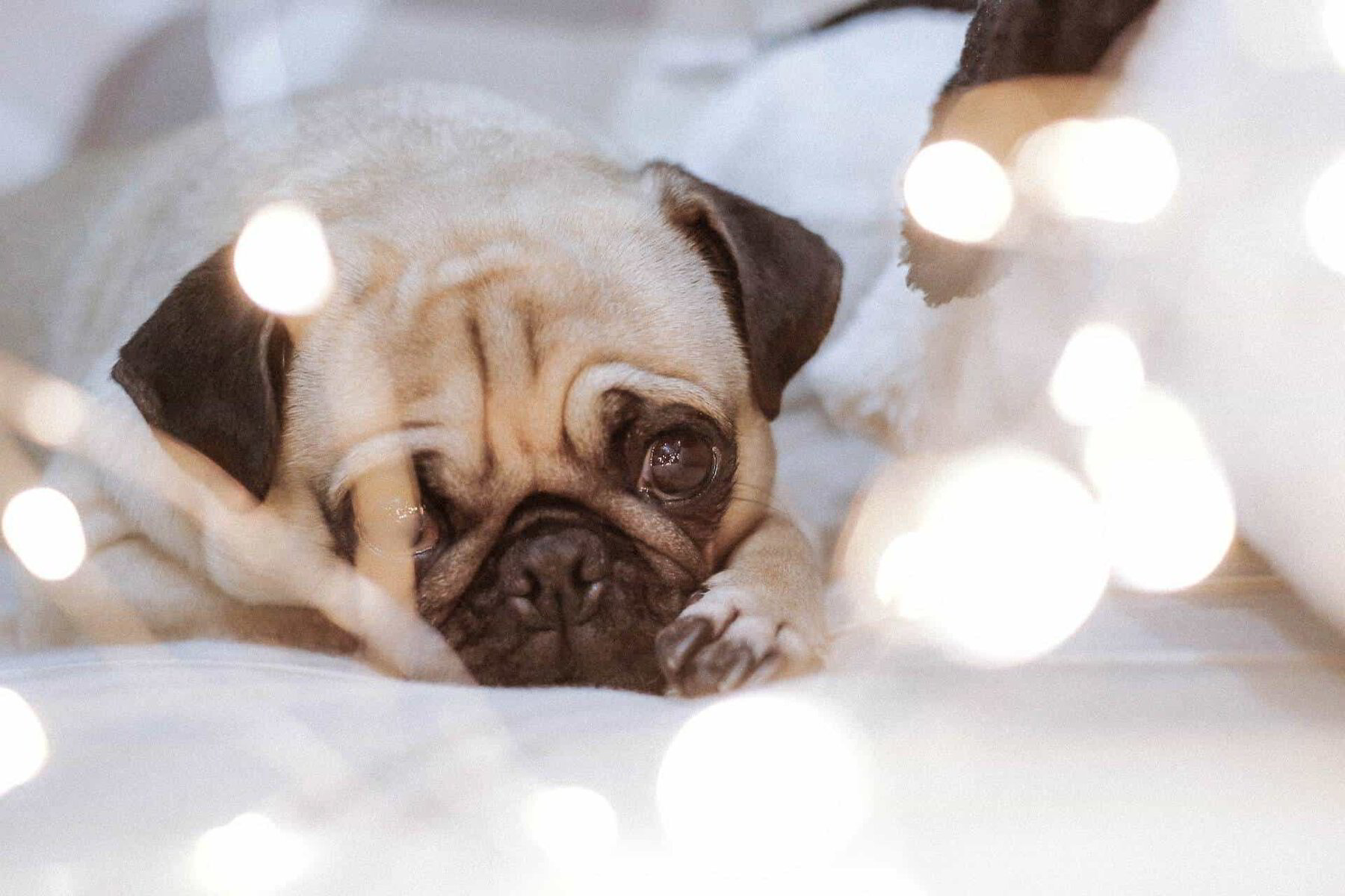 The Magic of Interior Lighting Design: A Complete Guide | DIY Home Comfort