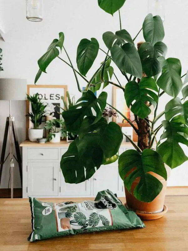 How to Use Texture in Interior Design for Maximum Impact | DIY Home Comfort